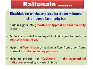 National Fund project on Pashmina Goat | PDF | Genetics | Science