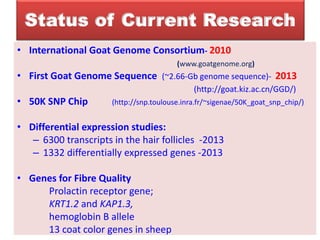 National Fund project on Pashmina Goat | PDF | Genetics | Science