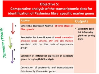 National Fund project on Pashmina Goat | PDF | Genetics | Science