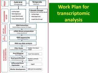 National Fund project on Pashmina Goat | PDF | Genetics | Science