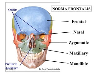 Anatomy of the Skull | PPT