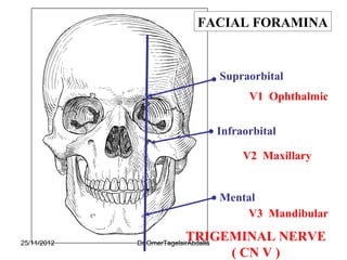Anatomy of the Skull | PPT