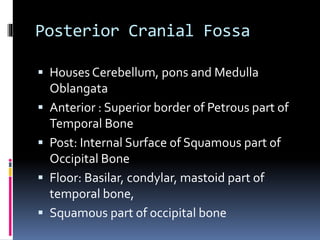 Skull | PPTX
