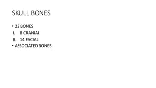 Skull.pptx