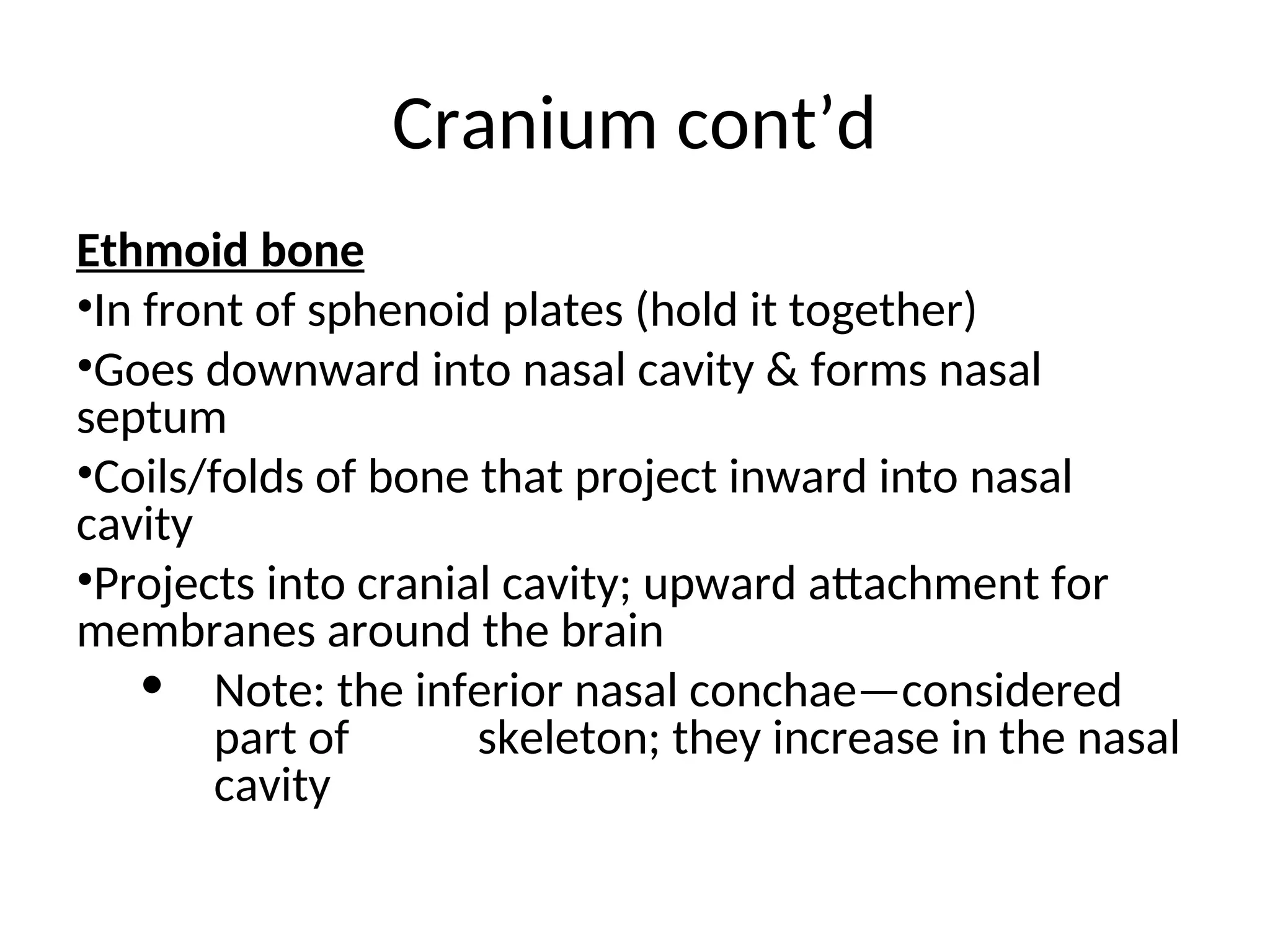 The Anatomy of the Skull power point presentation | PPT