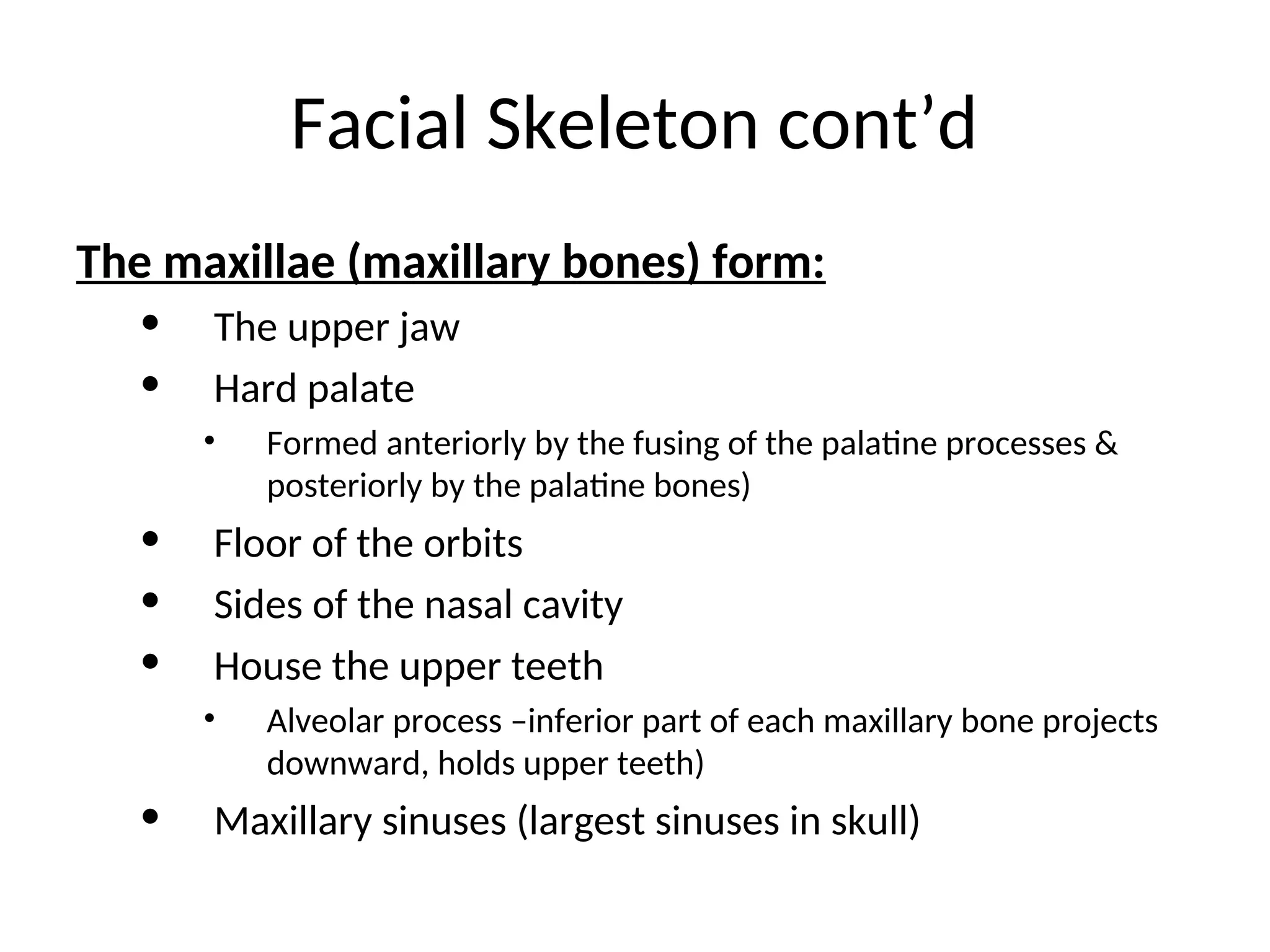 The Anatomy of the Skull power point presentation | PPT
