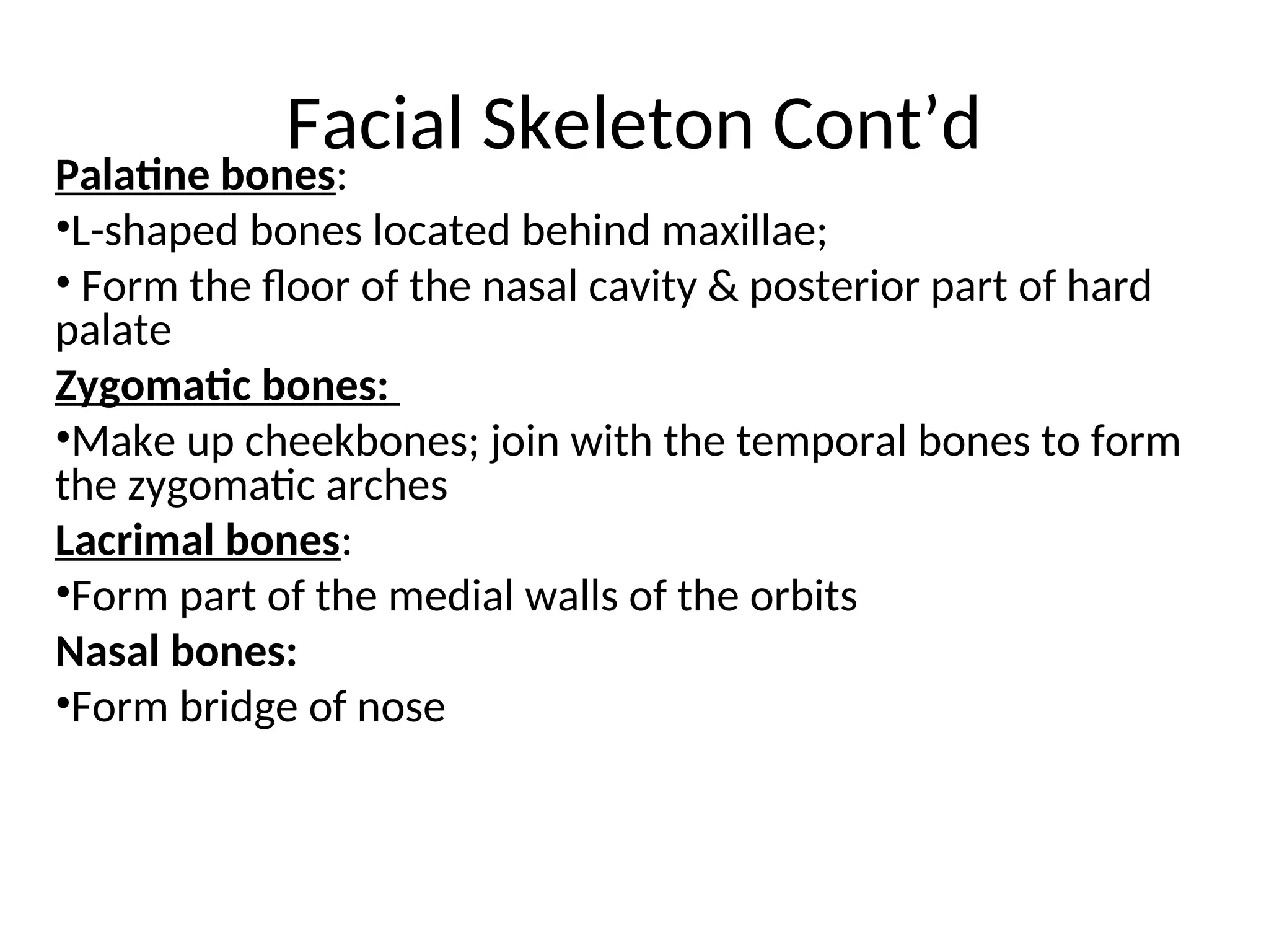 The Anatomy of the Skull power point presentation | PPT