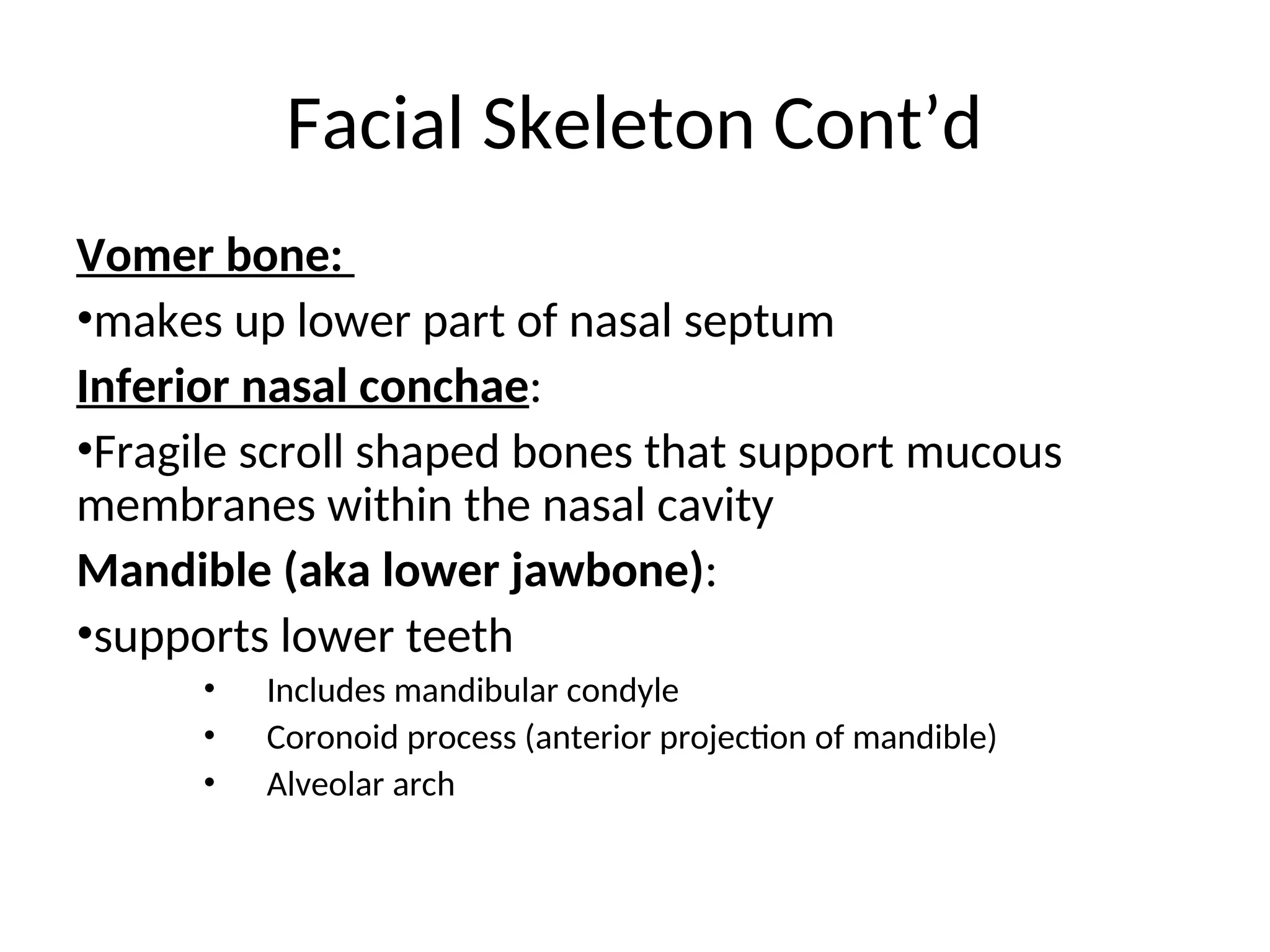 The Anatomy of the Skull power point presentation | PPT