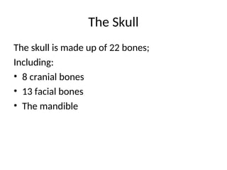 The Anatomy of the Skull power point presentation | PPT
