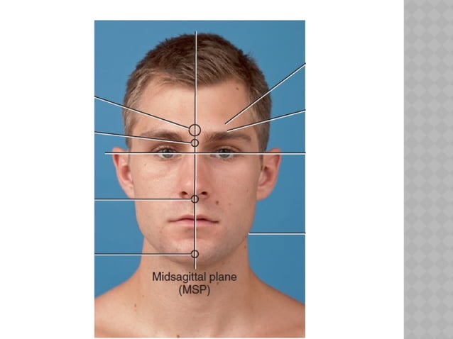 Radiographic positioning II. Skull positioning | PPTX