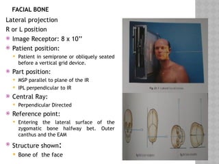 Radiographic positioning II. Skull positioning | PPTX