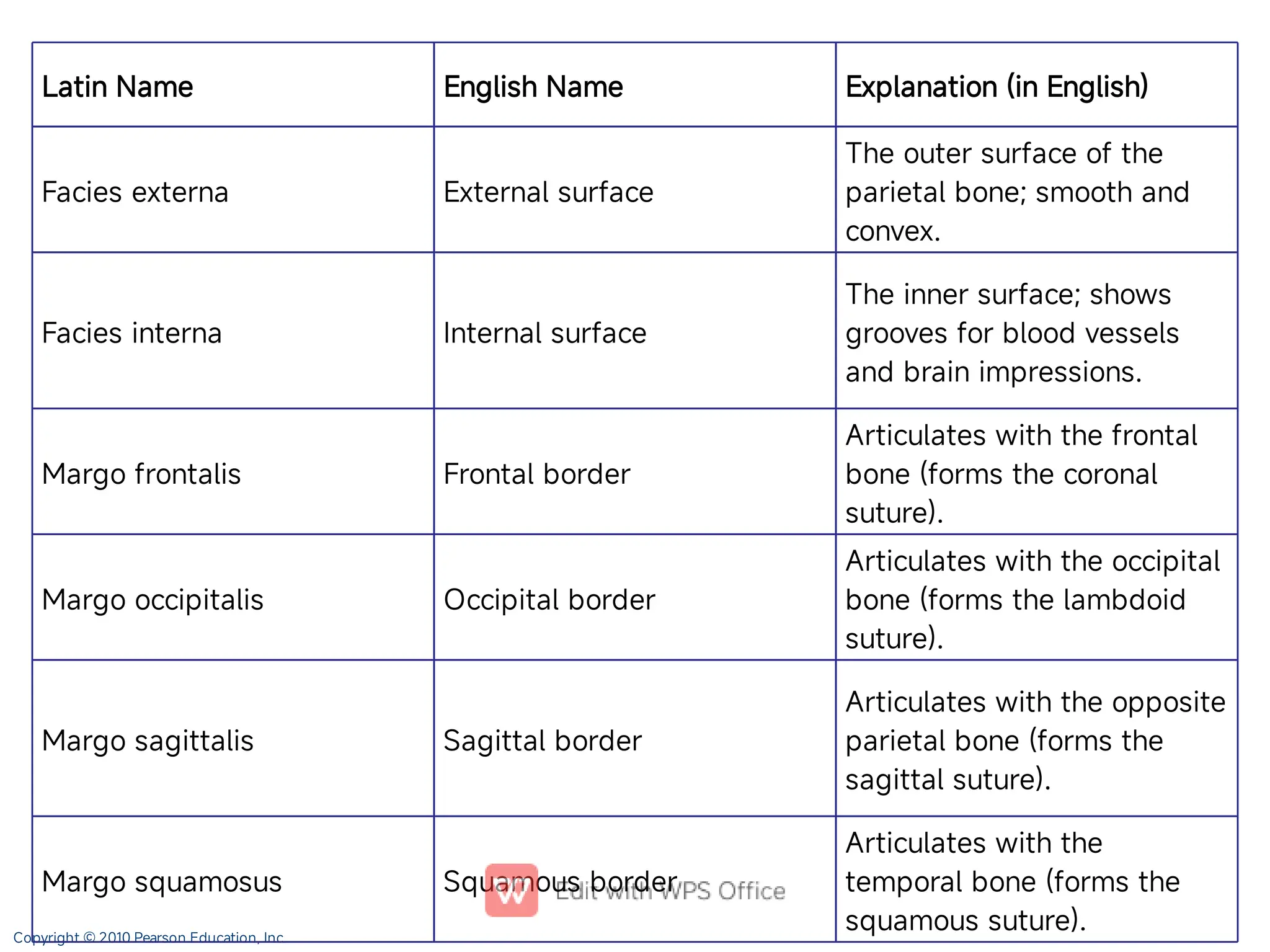 skull.pdf.pdf very important to study anat | PDF