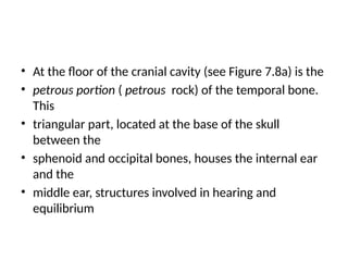 skull-bones anatomy and physiological.pptx