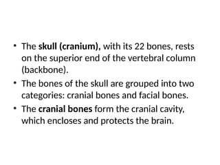 skull-bones anatomy and physiological.pptx