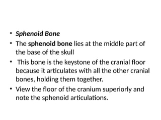 skull-bones anatomy and physiological.pptx