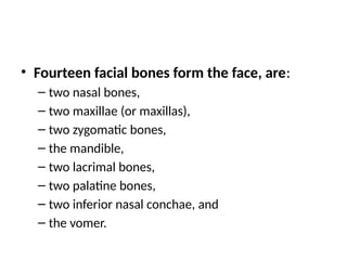 skull-bones anatomy and physiological.pptx