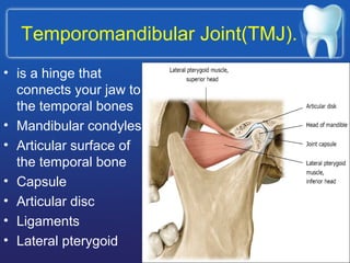 Skull and tooth | PPT | Dental Health | Diseases and Conditions