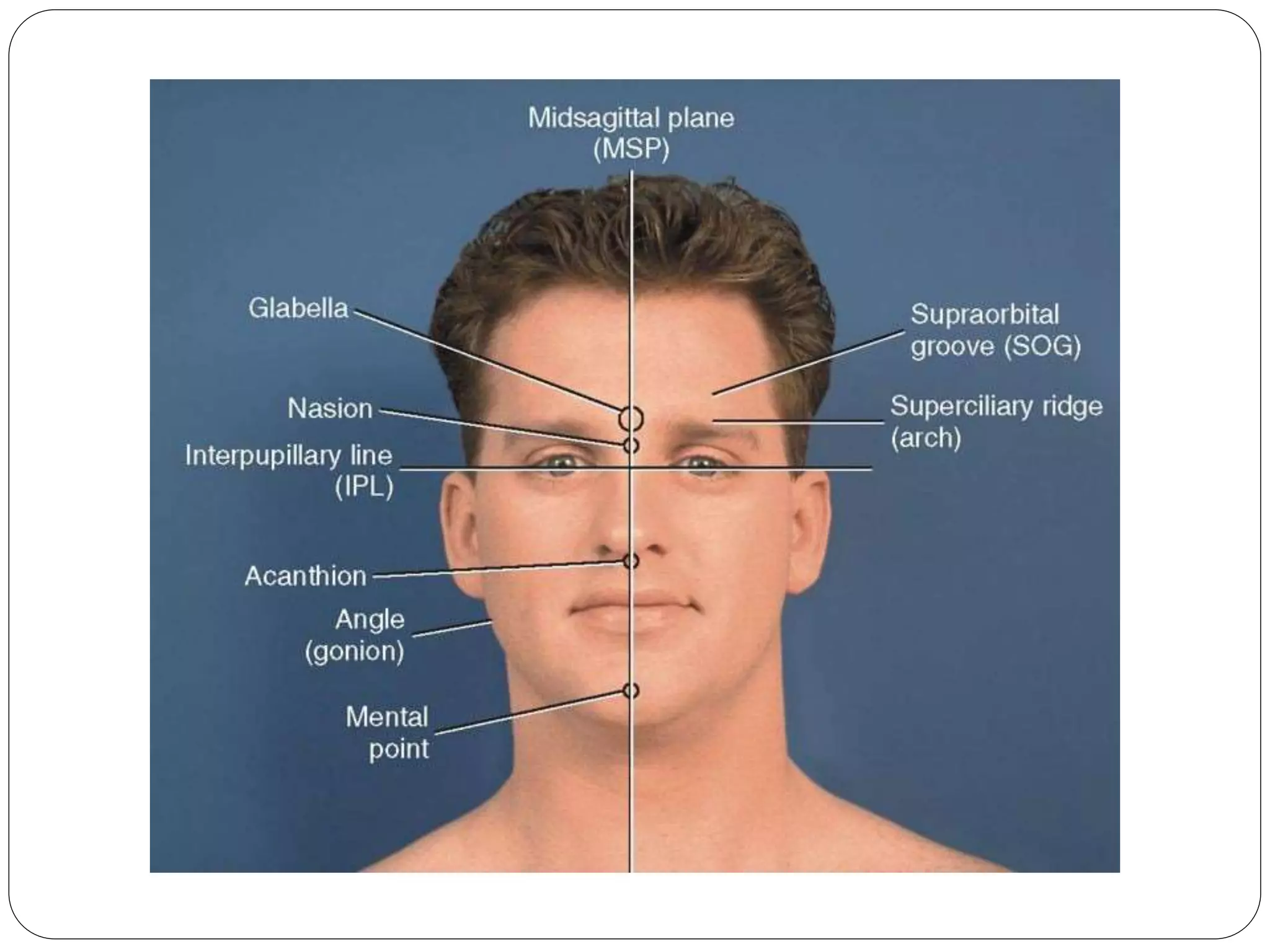 Skull anatomy and positioning | PPTX
