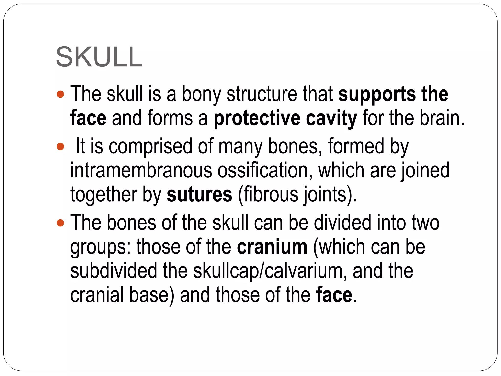 Skull anatomy and positioning | PPTX