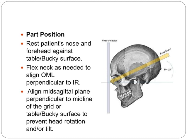 Skull anatomy and positioning | PPTX