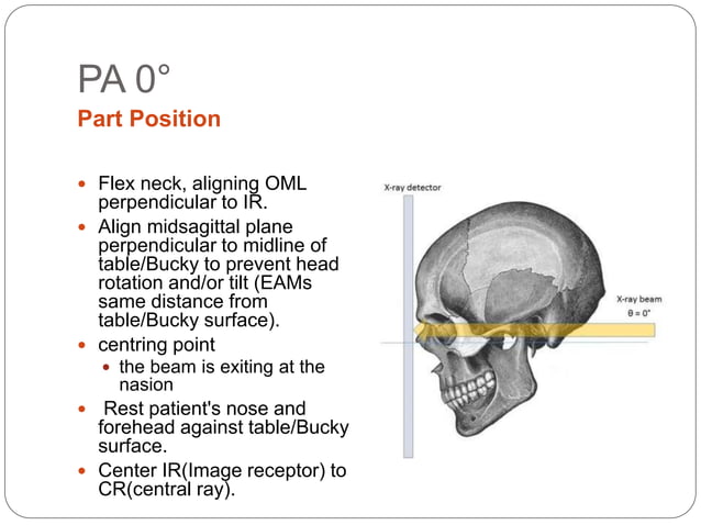 Skull anatomy and positioning | PPT