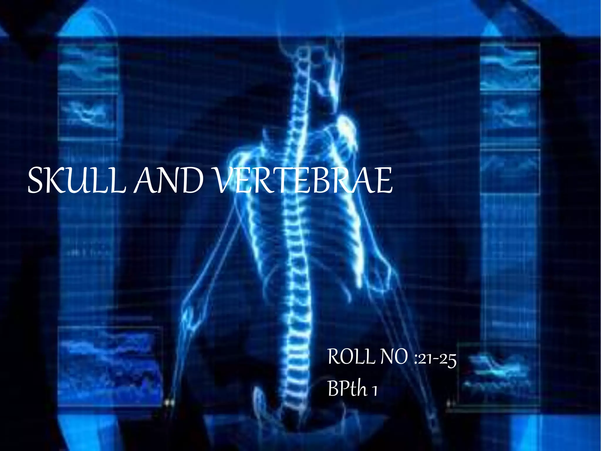 Skull and vertebrae | PPT