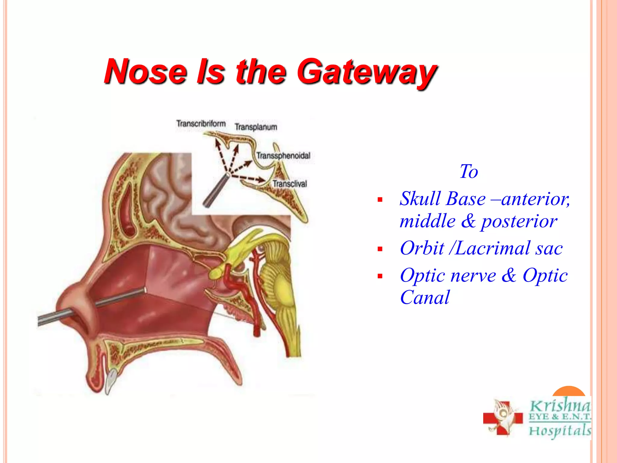 Endoscopic SKULL BASE surgery | PPTX