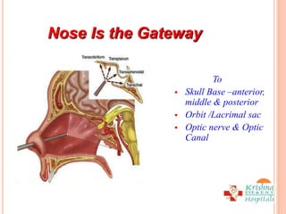 Endoscopic SKULL BASE surgery | PPTX