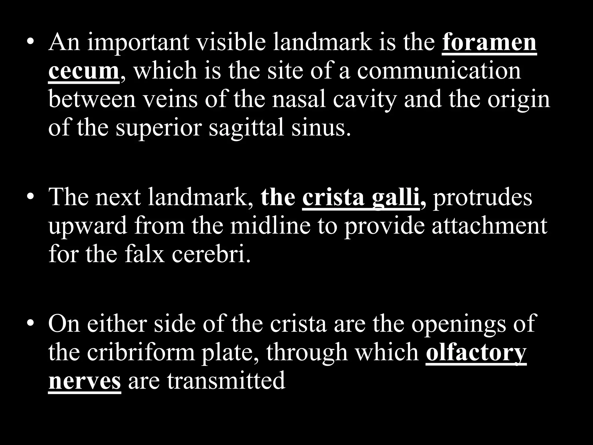 Anatomy of Skullbase | PPTX