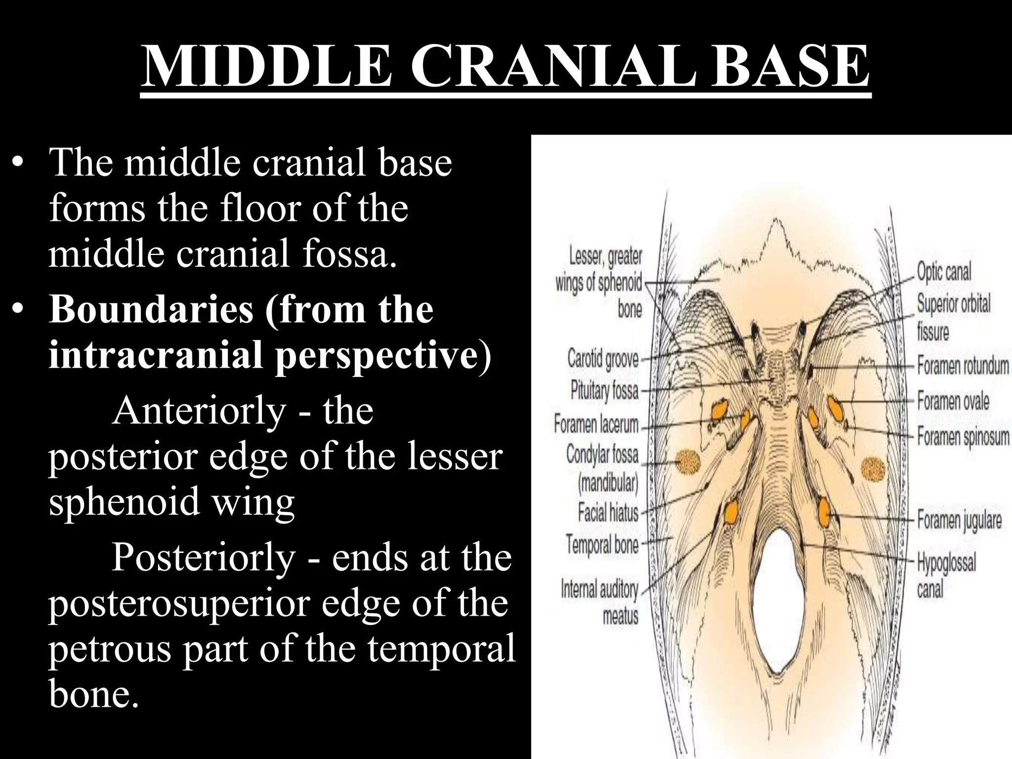 Anatomy of Skullbase | PPTX