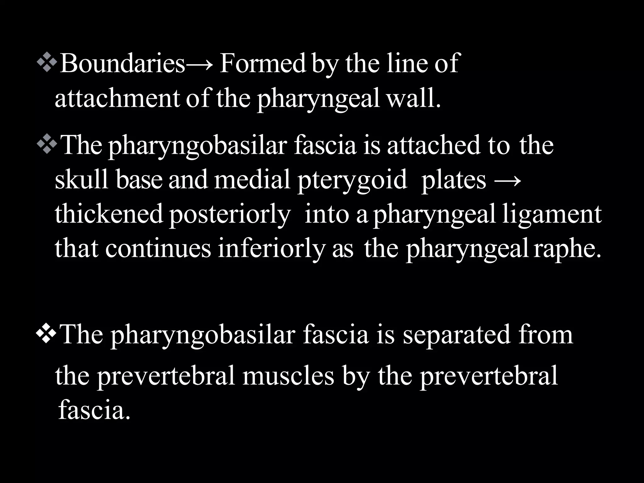 Anatomy of Skullbase | PPTX