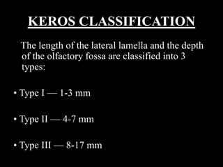 Anatomy of Skullbase | PPTX