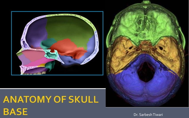 Skull base : Development and anatomy. | PPTX