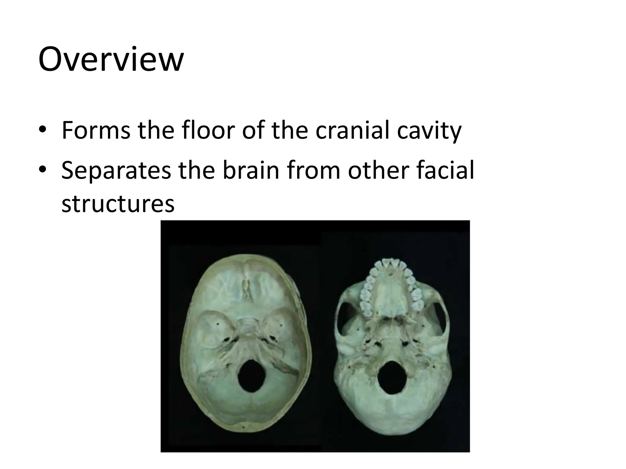 Skull base anatomy.pptx