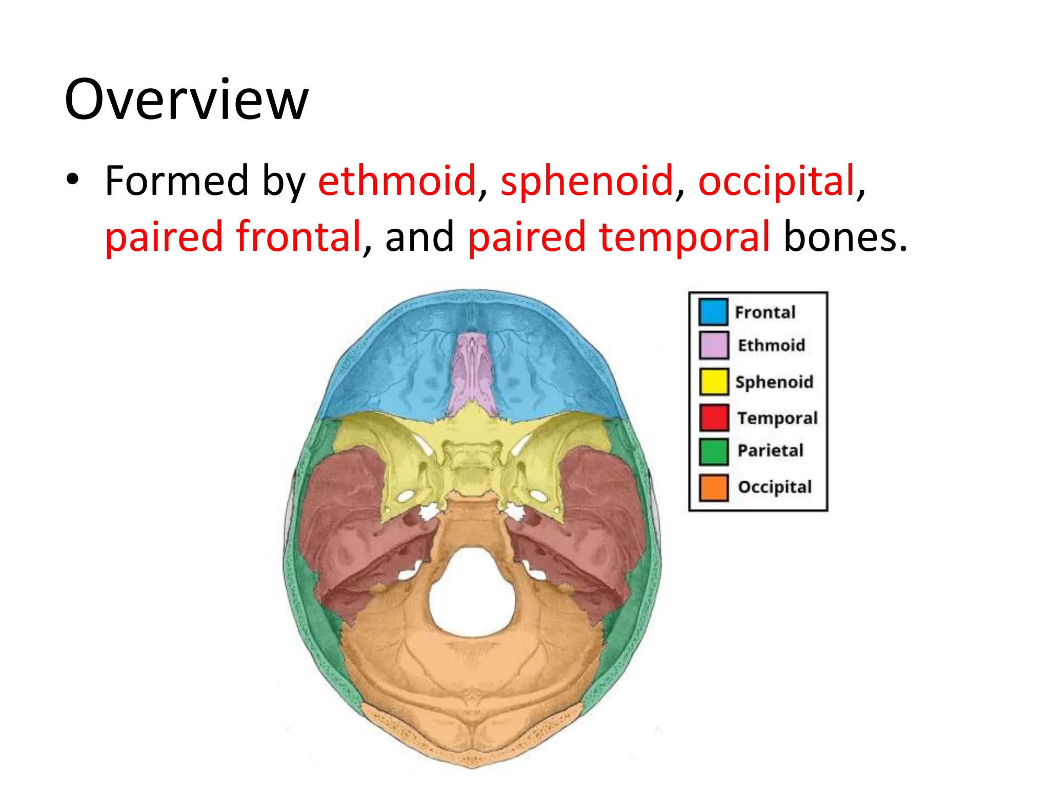 Skull base anatomy.pptx