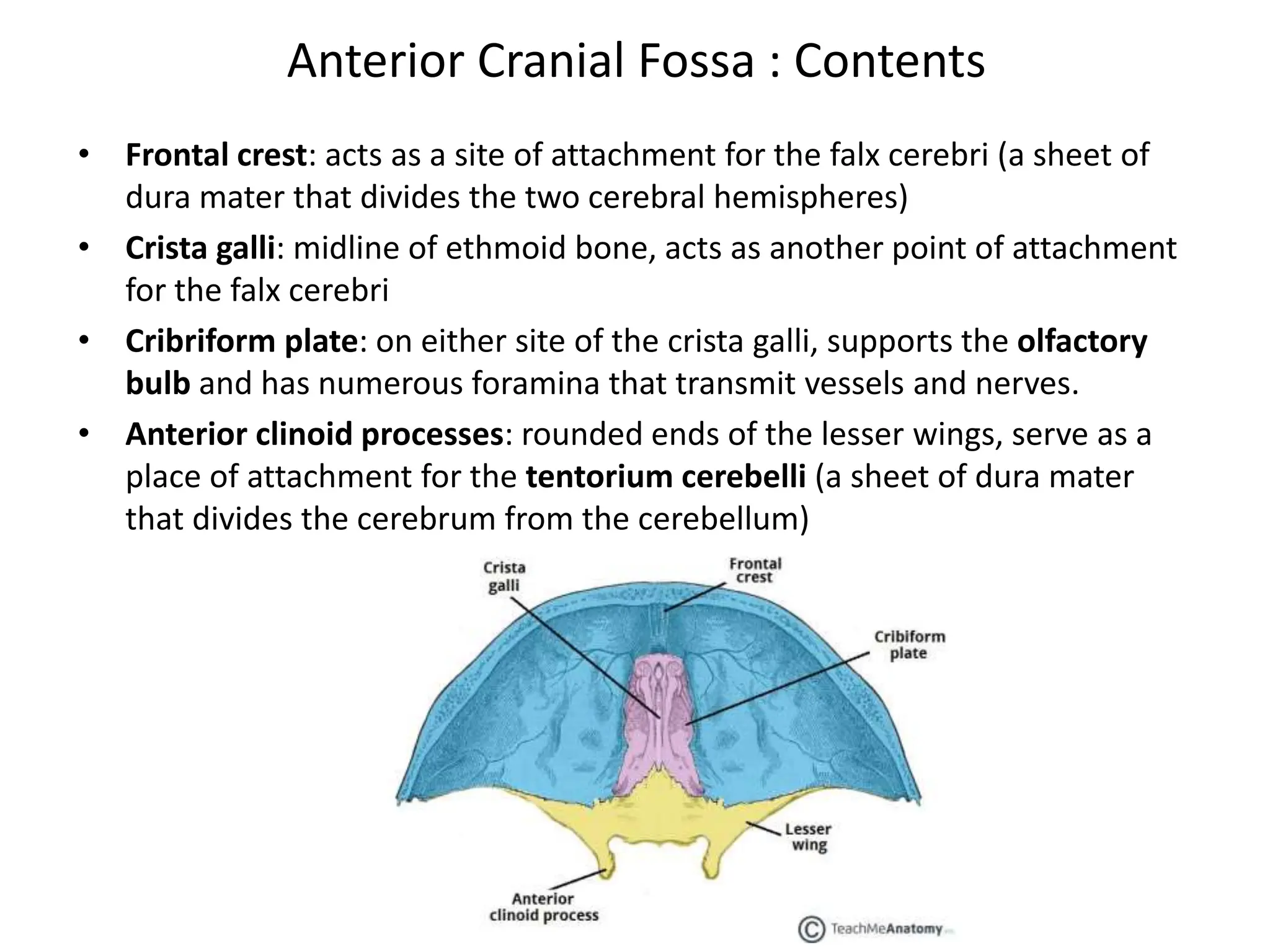 Skull base anatomy.pptx