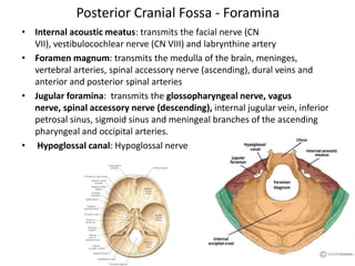 Skull base anatomy.pptx