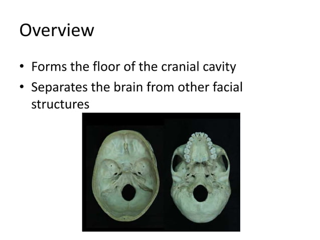 Skull base anatomy.pptx