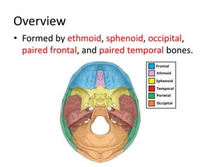 Skull base anatomy.pptx