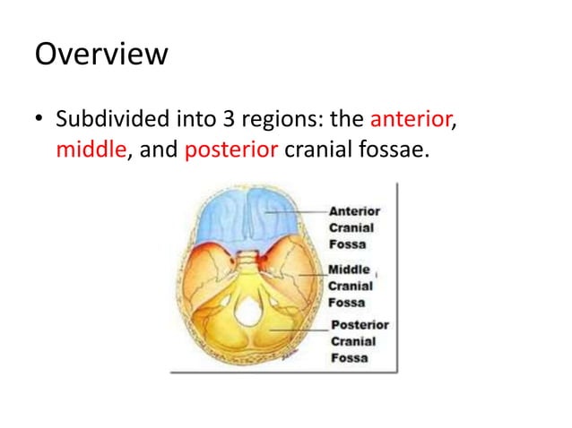 Skull base anatomy.pptx