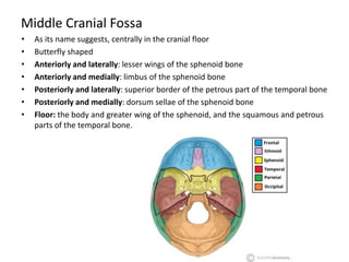Skull base anatomy.pptx