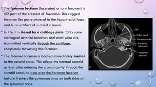 Radiological Anatomy of the Skull Base by Dr. Aryan | PPTX