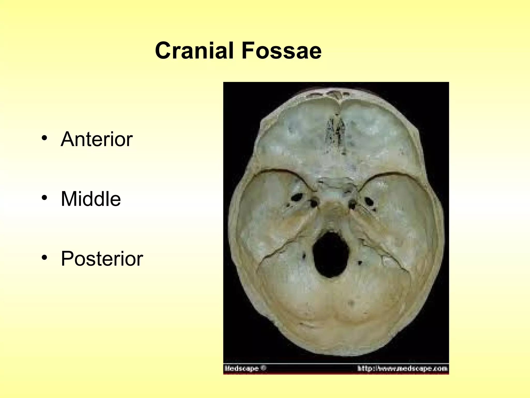 Skull base imaging | PPT