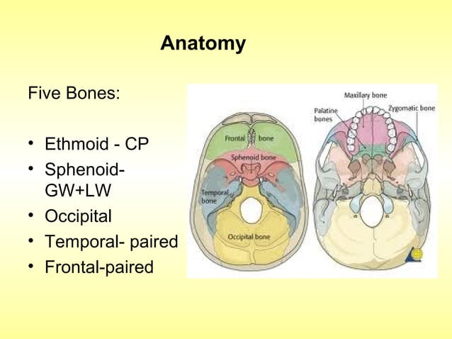 Skull base imaging | PPT | Ear, Nose and Throat Conditions | Diseases ...
