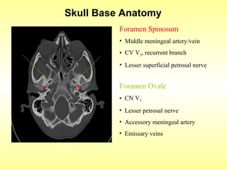 Foramen Rotundum Xray