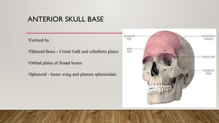 Skull Base osteomyelitis Neuroradio classification, risk factors case ...