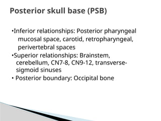 SKULL BASE OVERVIEW anatomy anteroir middle and posterior | PPT