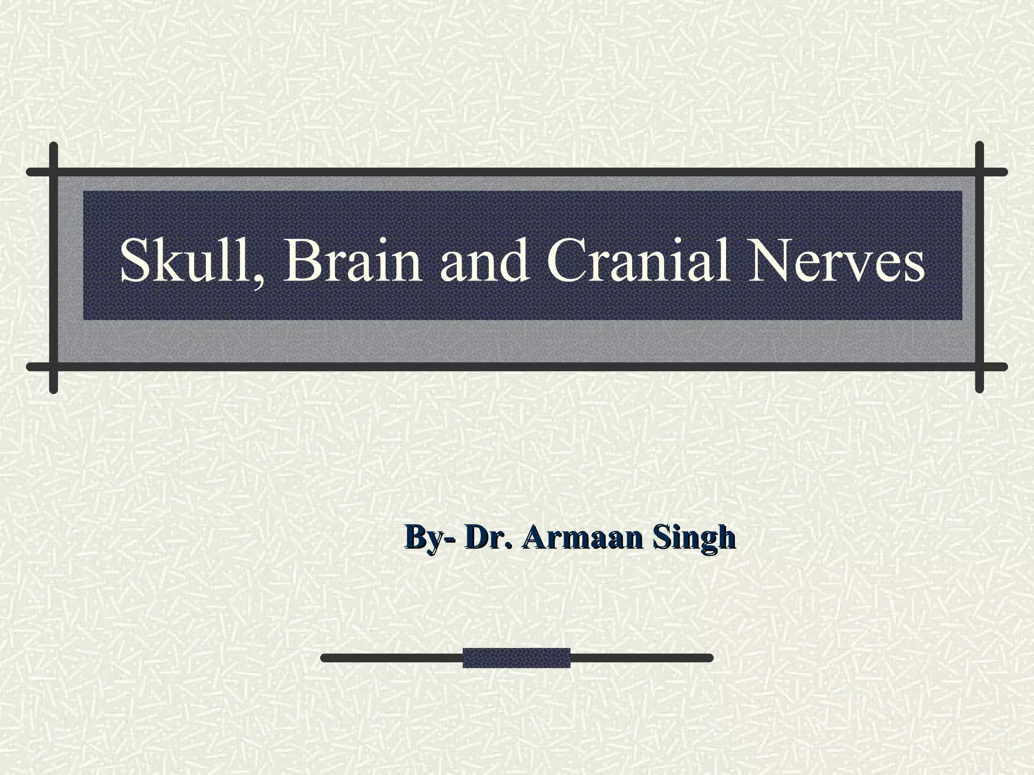 Skull & brain | PPT