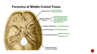 Skull bone Foramen and its contents.pptx