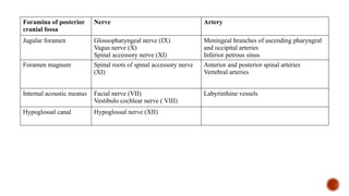 Skull bone Foramen and its contents.pptx